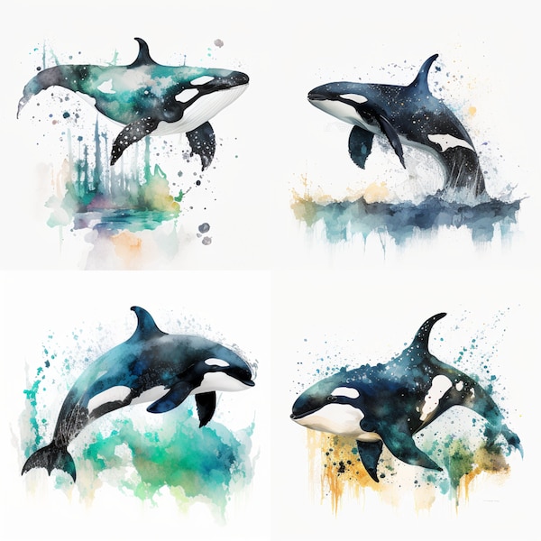 Watercolor Orca Clipart - Etsy
