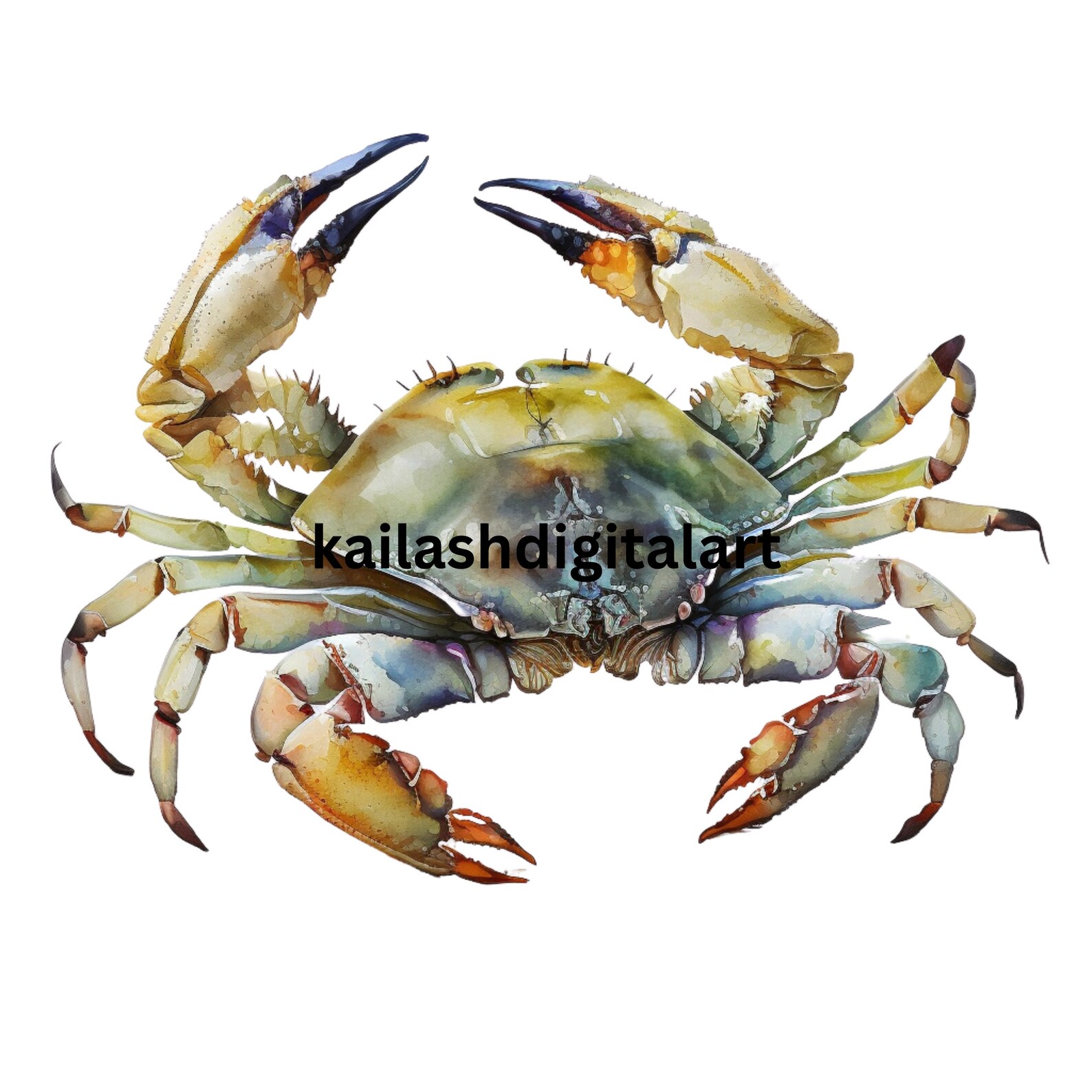 Watercolor Crab Clipart Digital Scrapbooking Paper Crab Prints High ...