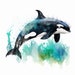Orca Watercolor, Digital Downloads, Orca Clipart, Orca PNG, Orca Wall ...