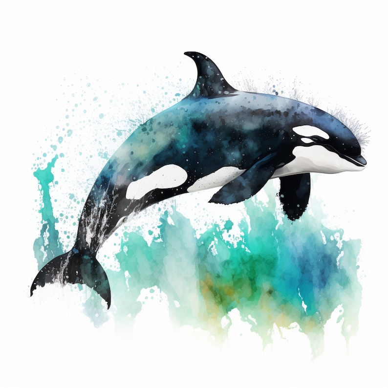 Orca Watercolor, Digital Downloads, Orca Clipart, Orca PNG, Orca Wall ...
