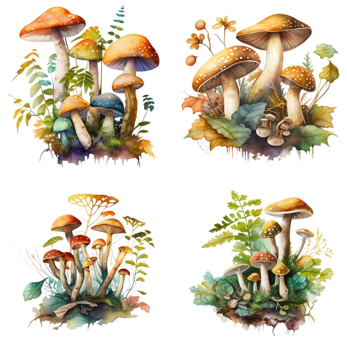 Forest Mushrooms Clipart 5 High Quality Jpgs Digital Planner Junk ...