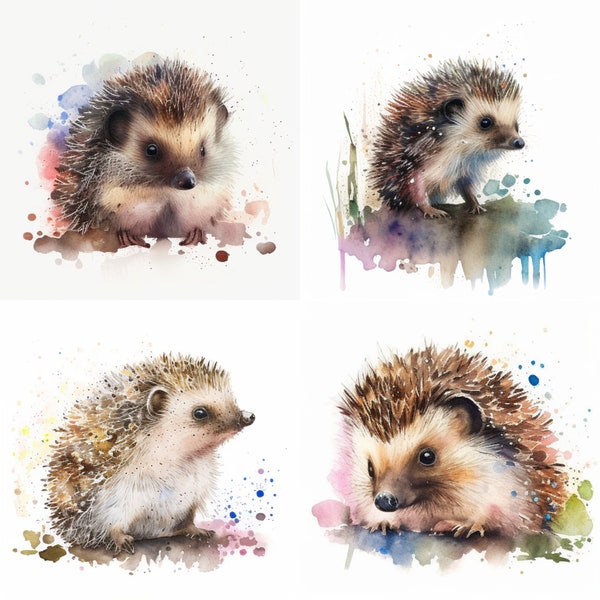 Baby Hedgehog - Etsy