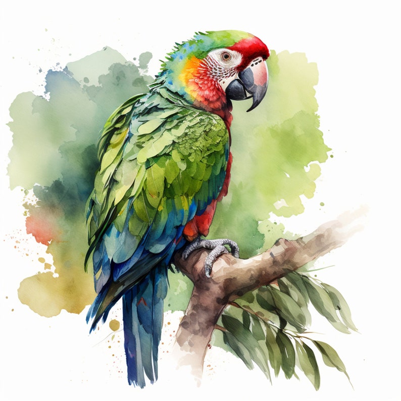 Parrot Watercolor Clipart 5 Parrot High Quality Pngs Digital Paper ...