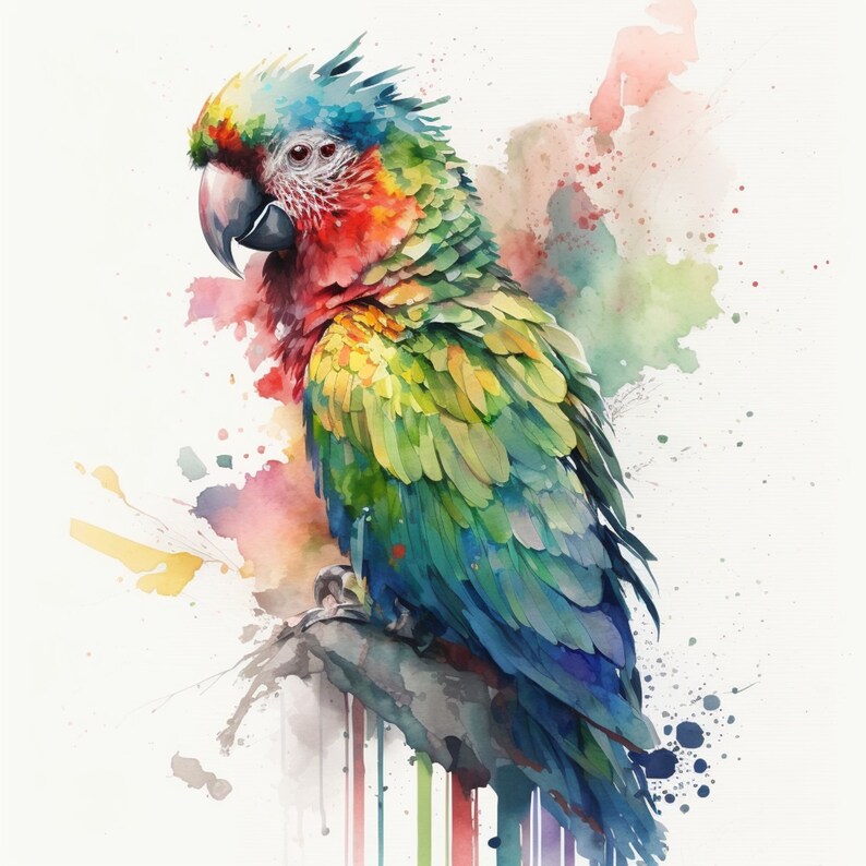 Parrot Clipart 5 High Quality Pngs Digital Paper Crafting Digital ...