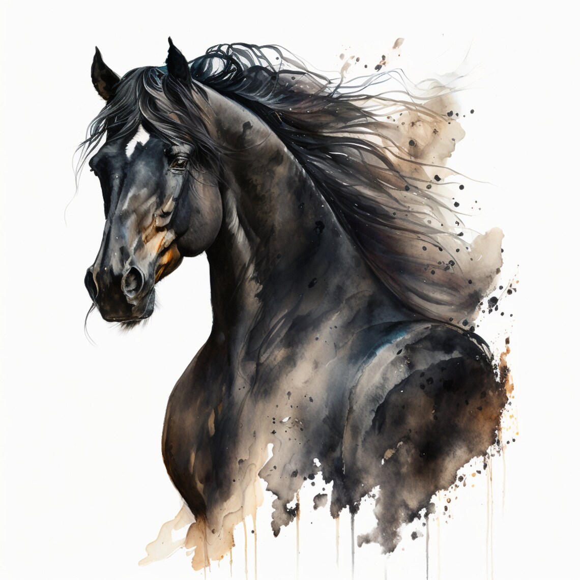 Black Stallion Clipart Digital Download 5 High Quality Jpegs Digital ...