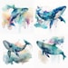 Whale Watercolor, Digital Downloads, Whale Clipart, Whale PNG, Whale ...