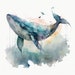 Whale Watercolor, Digital Downloads, Whale Clipart, Whale PNG, Whale ...