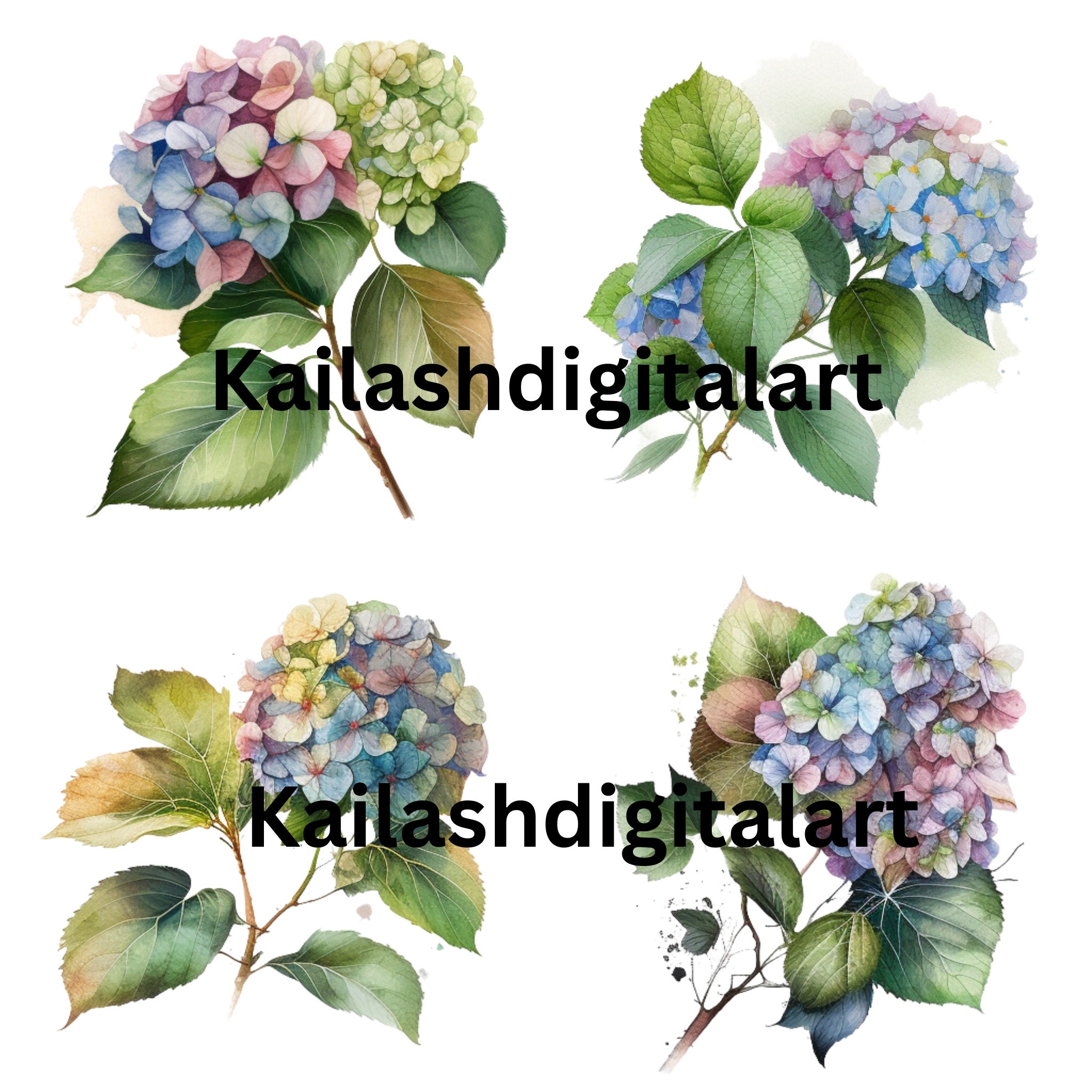 Hydrangea Border Bouquet Clipart PNG Digital Commercial Use Instant ...