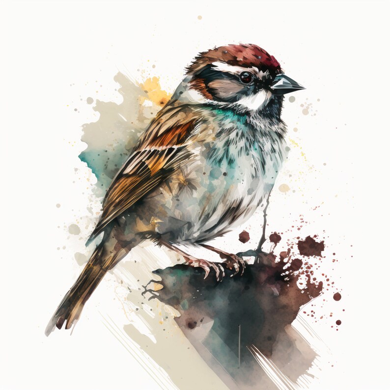 Sparrow Watercolor Clipart 5 High Quality Pngs Digital Paper Crafting ...
