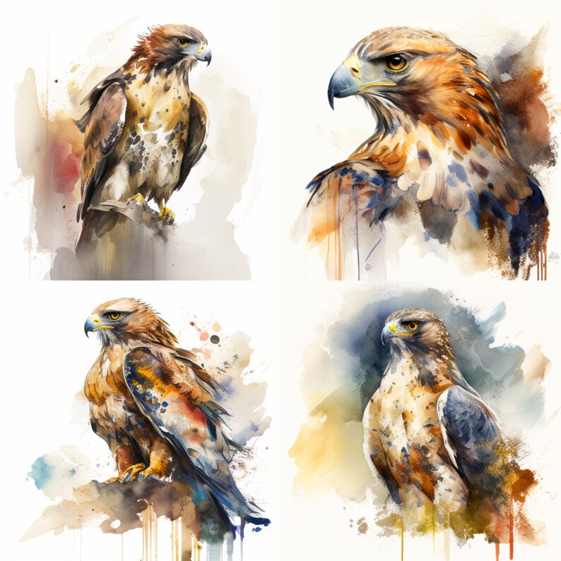 Beautiful Hawk Clipart 5 High Quality Pngs Digital Paper Crafting ...