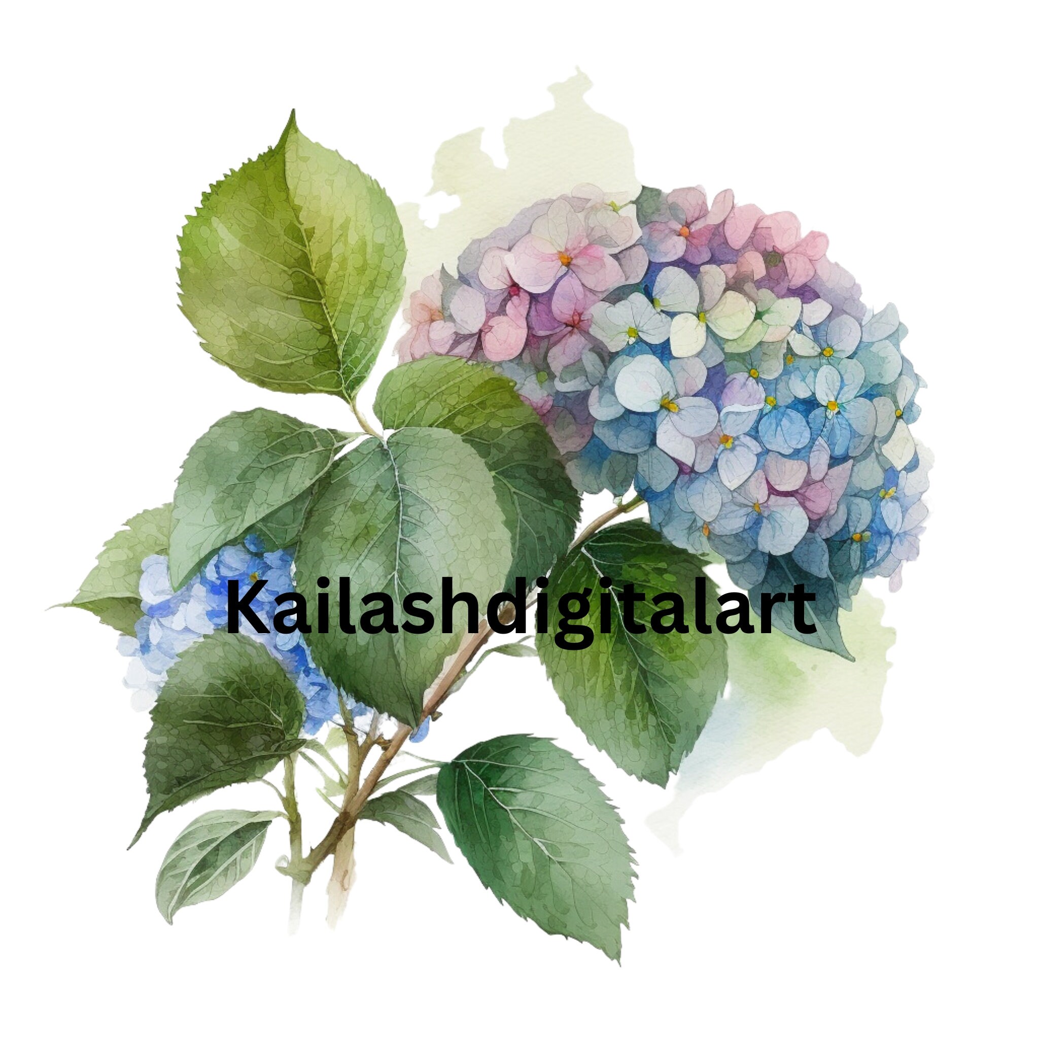 Hydrangea Border Bouquet Clipart PNG Digital Commercial Use Instant ...