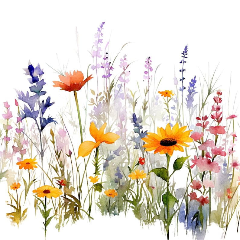 Wildflower Meadow Clipart 5 High Quality Jpgs Digital Planner Junk ...
