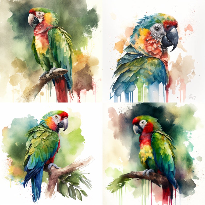 Parrot Watercolor Clipart 5 Parrot High Quality Pngs Digital Paper ...