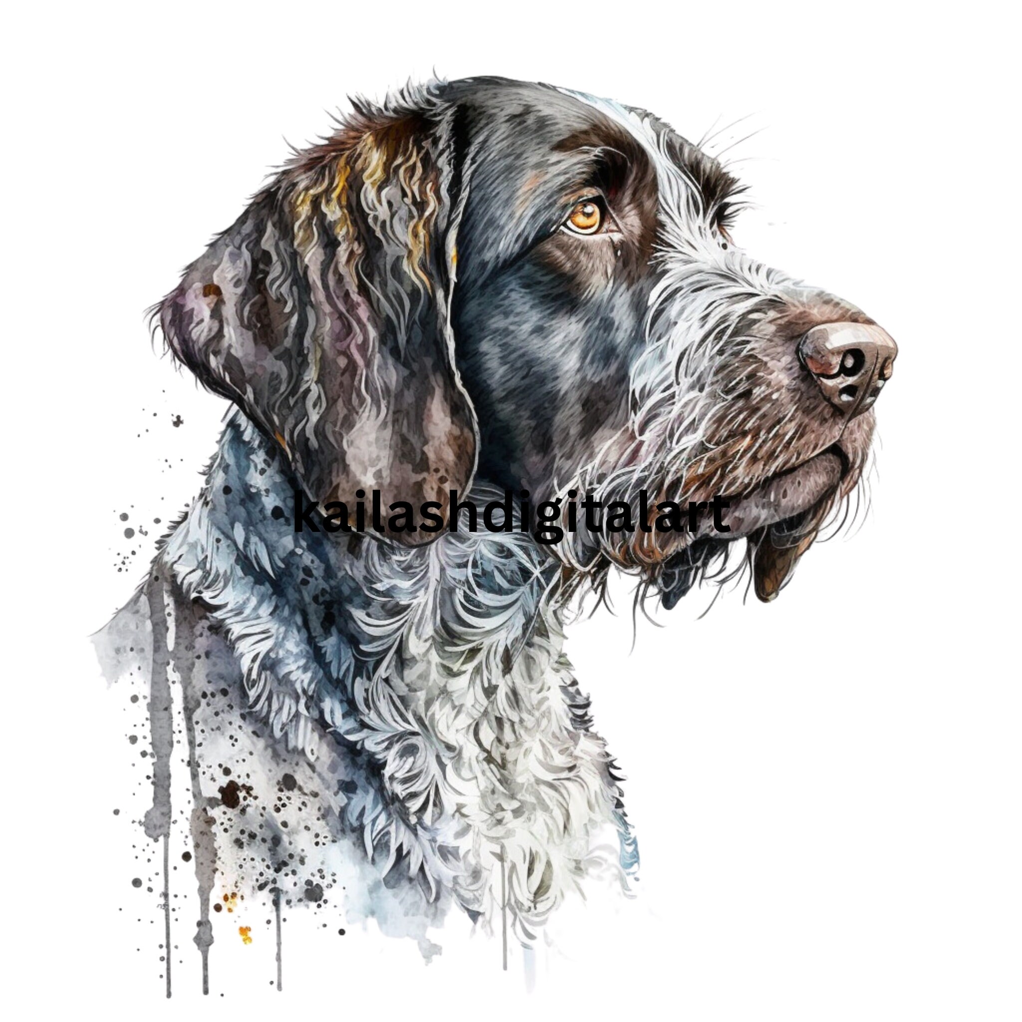 German Wirehaired Pointer Clipart High Quality Jpgs Digital - Etsy ...