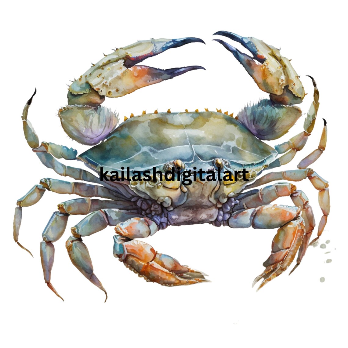 Watercolor Crab Clipart Digital Scrapbooking Paper Crab Prints High ...