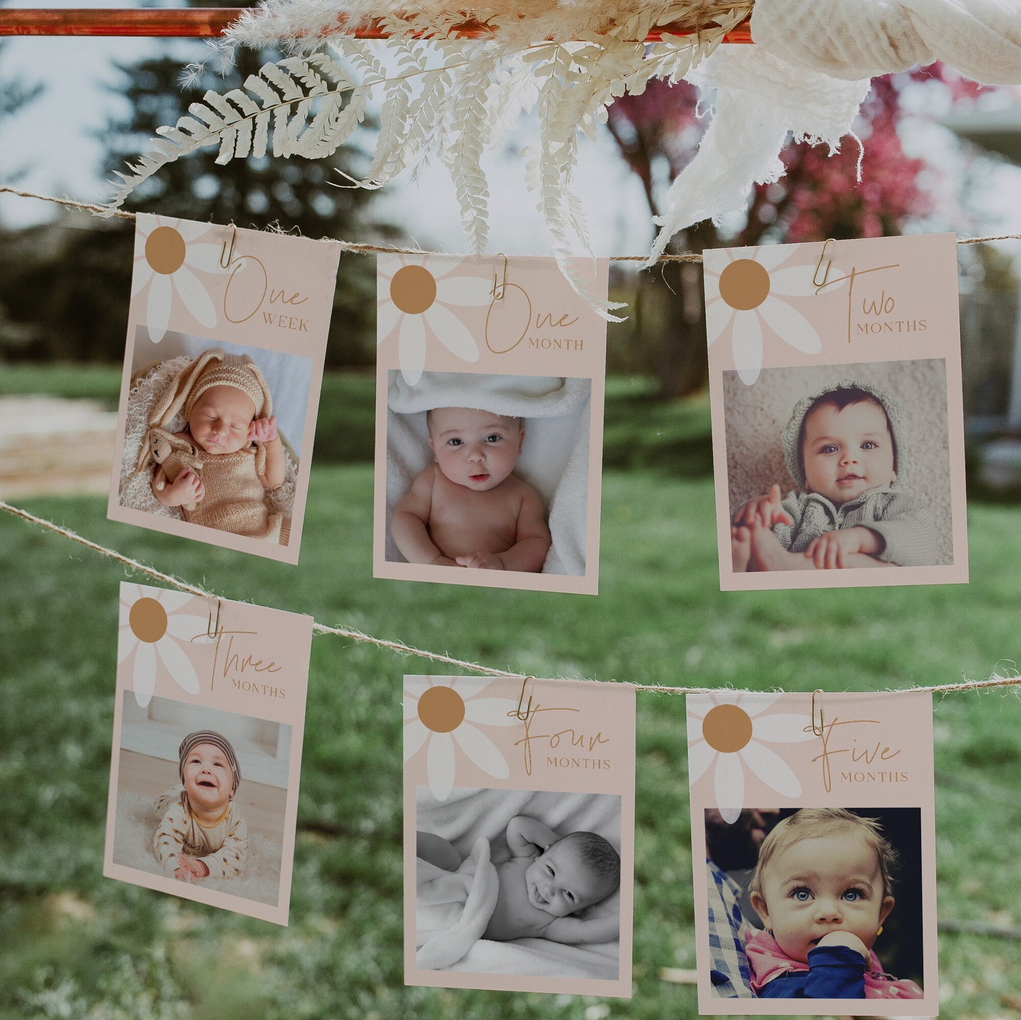 Daisy Monthly Photo Banner I Daisy Birthday Theme Decor I 1st Birthday ...