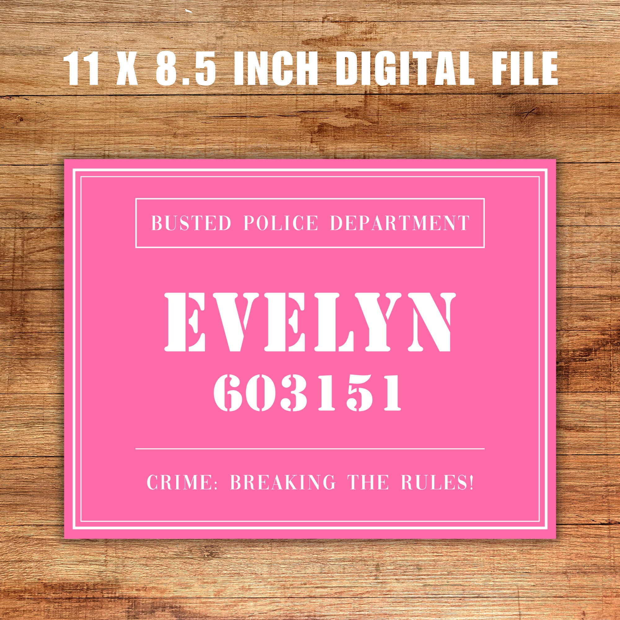 Photo Booth Background Prop | Pink Mugshot Sign | Girls Kids Cops and ...