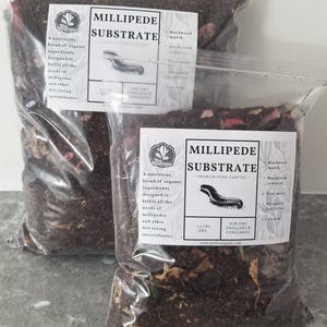 Millipede Substrate: the Best Dirt for Millipedes With Compost and ...