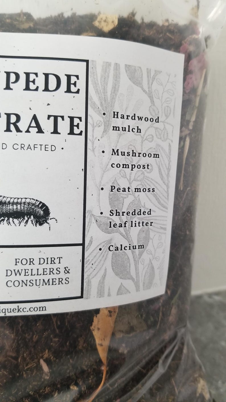 Millipede Substrate: the Best Dirt for Millipedes With Compost and ...