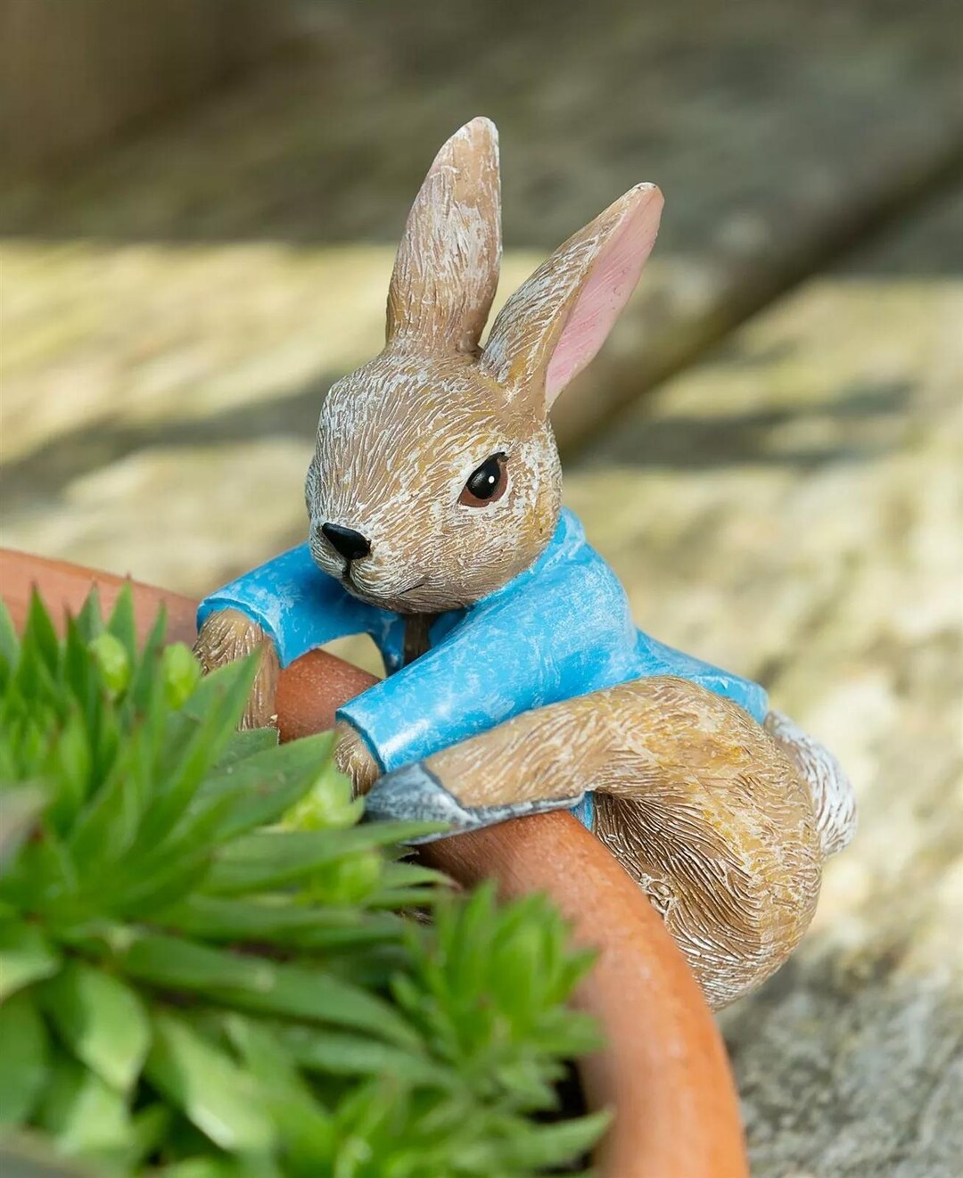 SALE - Jardinopia Beatrix Potter Peter Rabbit Pot Buddy - Garden Plant ...