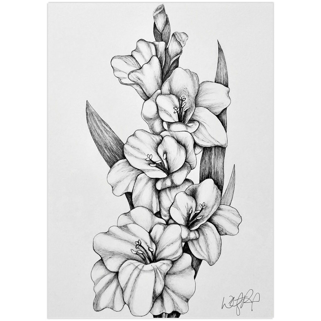 Exquisite Gladiolus Art Print: Elevate Your Space With Timeless ...