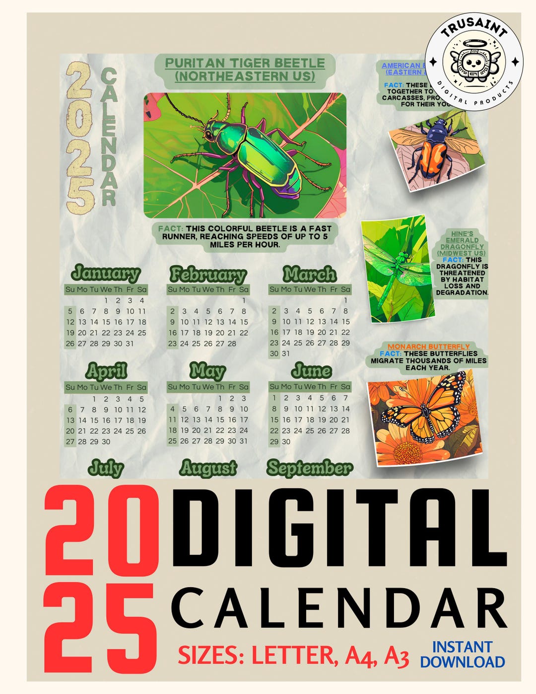 2025 Endangered Insects Calendar, Editable Calendar, Printable Anime ...
