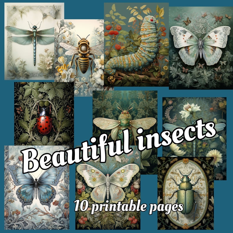 Beautiful Insect Background Images. PDF Files and Printable JPEG Files ...