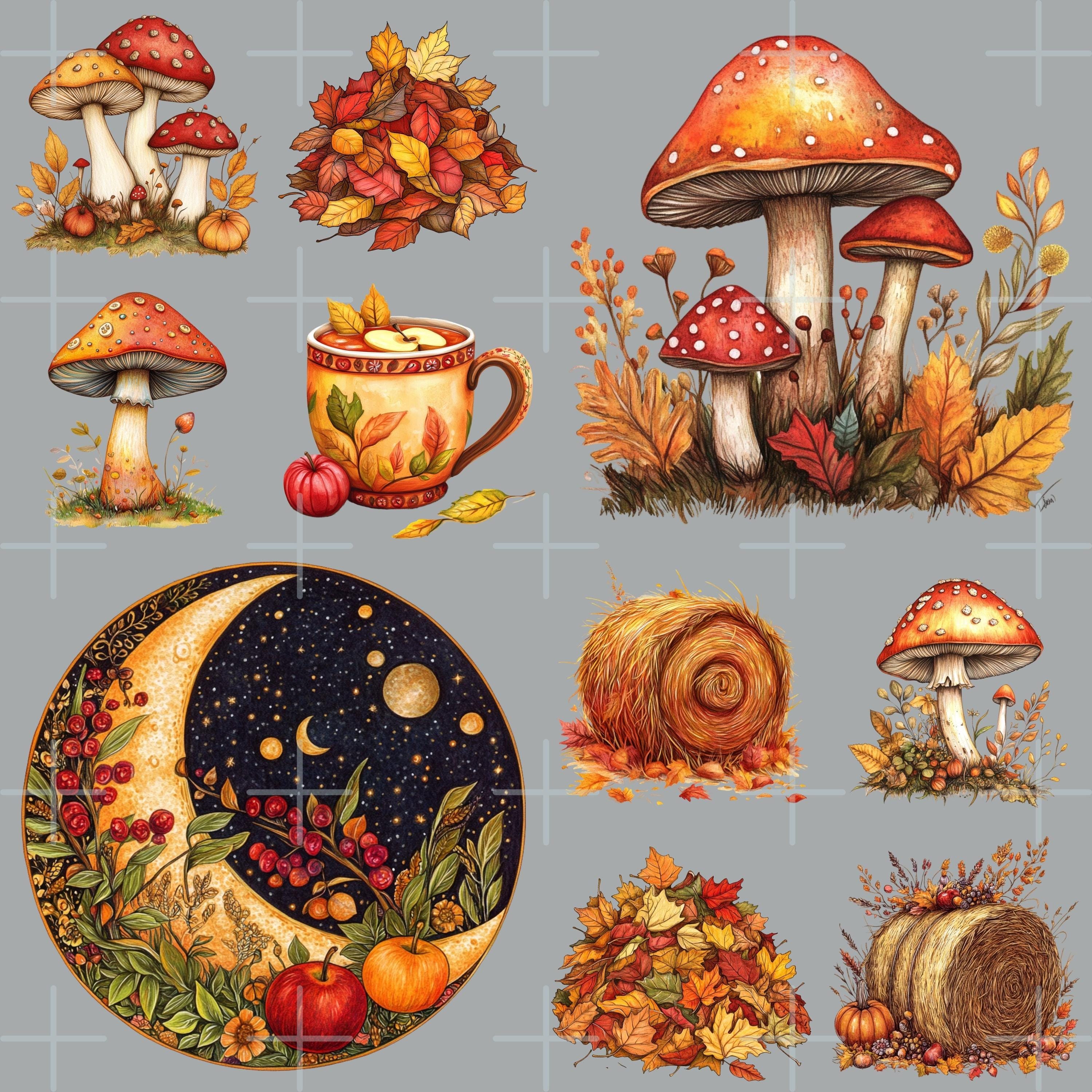 Colorful Autumn Clipart: Pumpkin, Mushroom PNG Graphics (40 Files) - Etsy