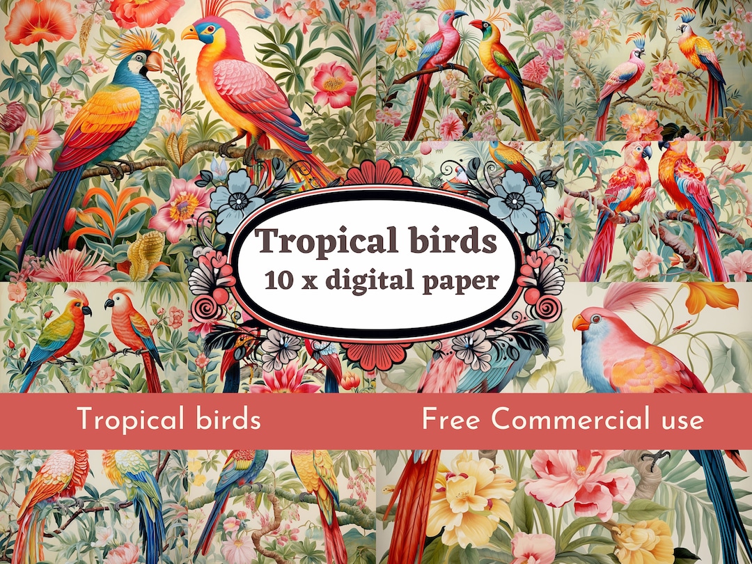 Vintage Tropical Birds Digital Paper, Colorful Birds. PNG Scrapbook ...