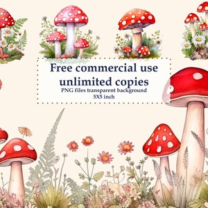 17 Red Mushroom Clip Art and Page Borders, Fly Agaric, Printable ...