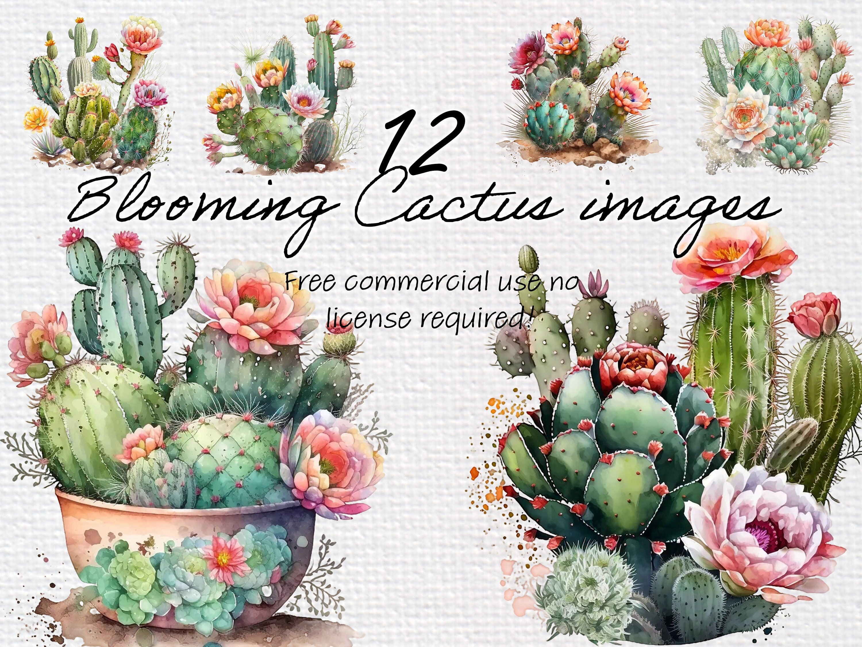 Cactus Clip Art Free