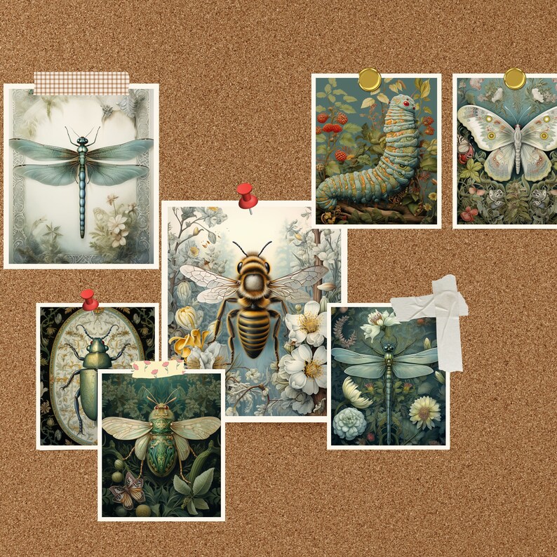 Beautiful Insect Background Images. PDF Files and Printable JPEG Files ...