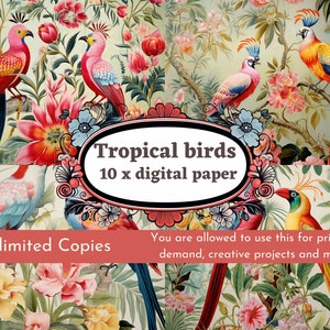 Vintage Tropical Birds Digital Paper: Colorful PNG Scrapbook Paper ...