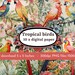 Vintage Tropical Birds Digital Paper: Colorful PNG Scrapbook Paper ...