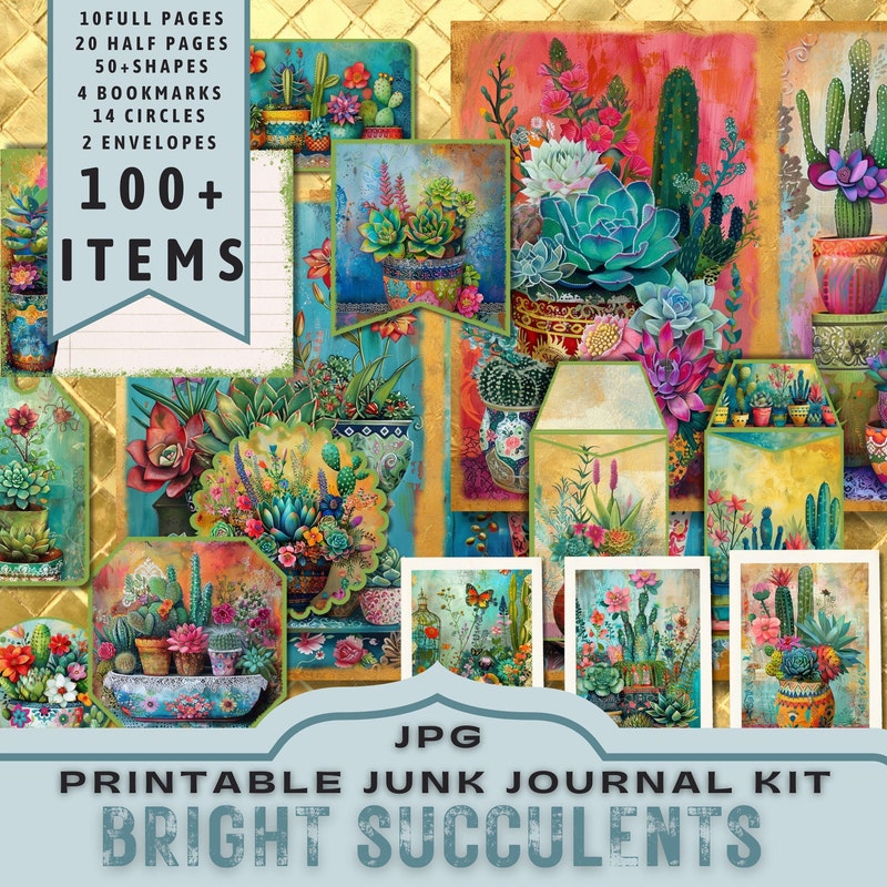 Succulent Kits - Etsy