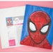 All Inclusive Spiderman Canvas Paint Kit for Boys | Spiderman Paint ...