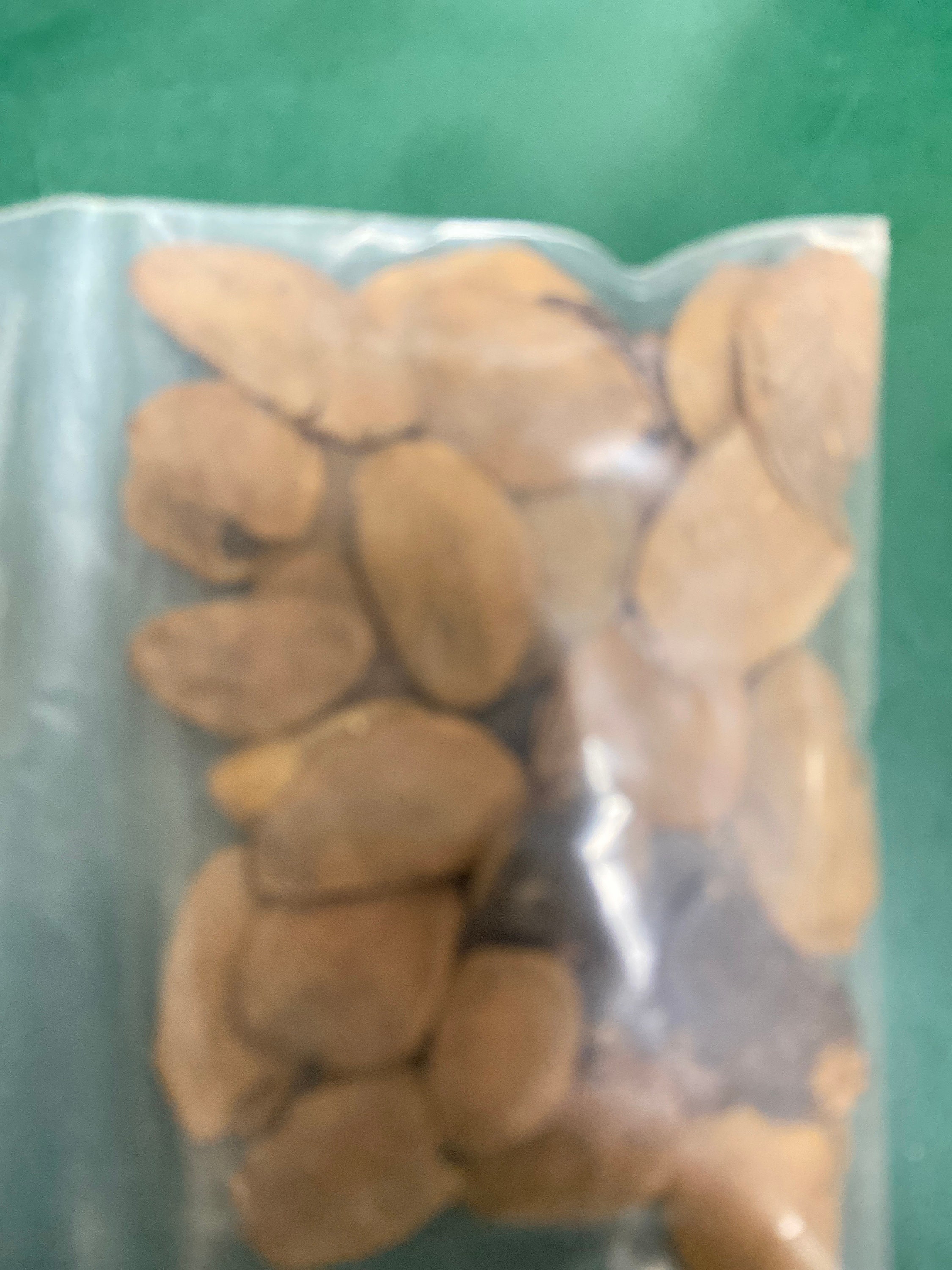 Abere Seeds (hunteria Umbellata) 10 Seeds - Etsy