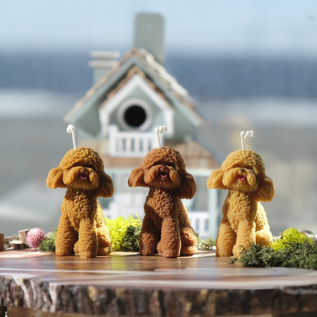 Poodle Lovers Gifts, Custom Poodles, Dog Loss Gift, Custom Dog, Dog ...