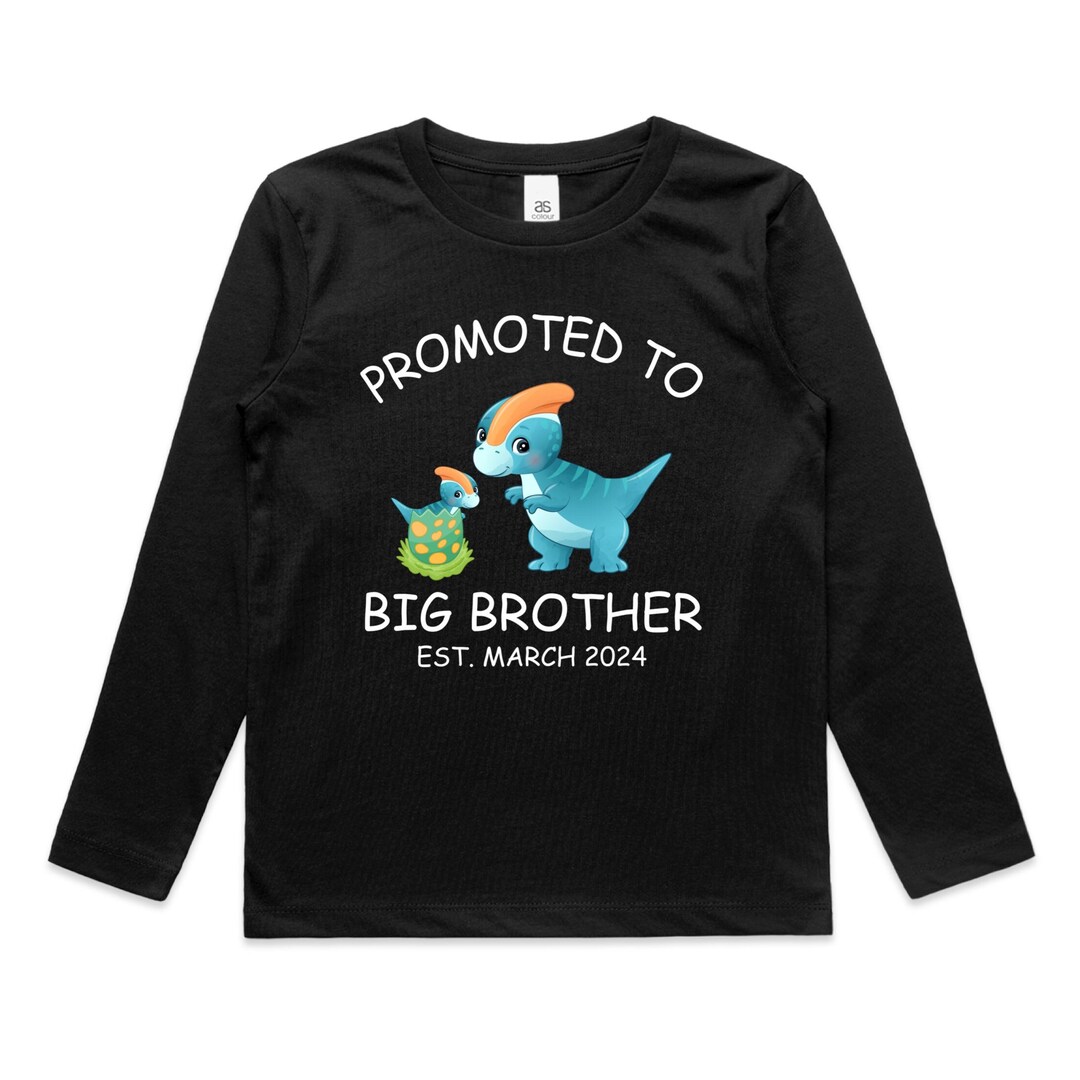 Personalised Big Brother Dinosaur Long Sleeves Tee, Promoted to Big ...