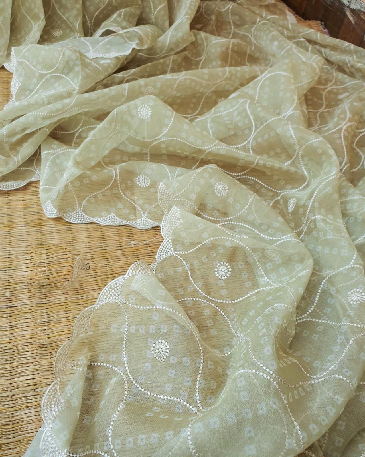 Pure Organza Saree With Bandini Print Nd Fancy Motif of White - Etsy