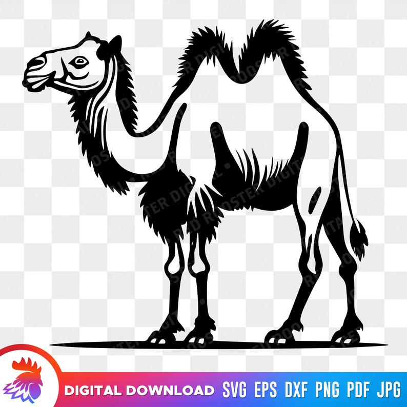 Camel Svg, Camel Silhouette, Camel Cut File, Camel With Two Humps ...