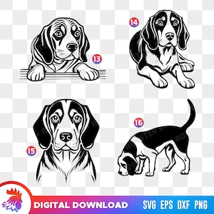 Beagle Dog SVG Bundle, Beagle Svg, Svg Bundle, Beagle Dog Breed, Beagle ...