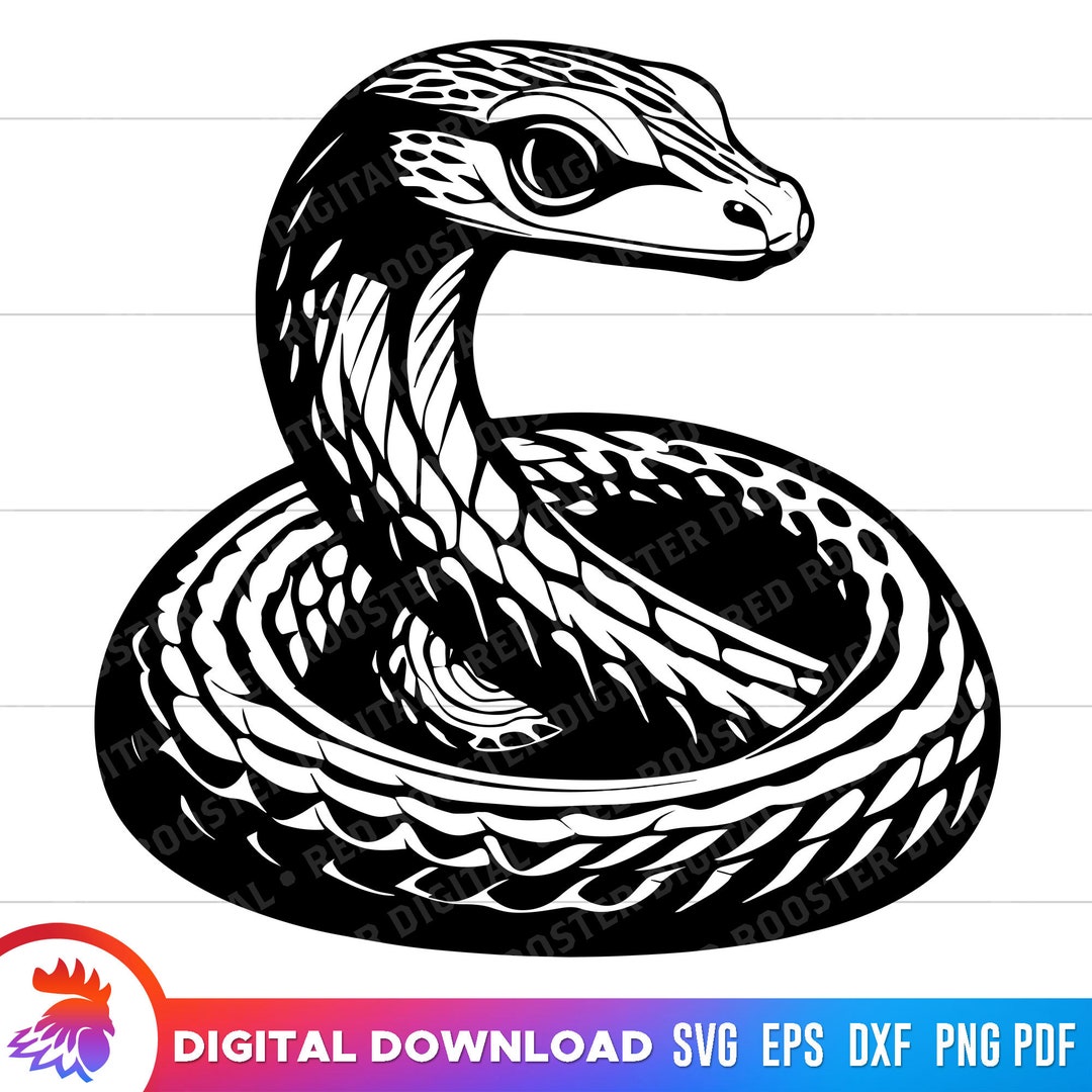 Coiled Snake SVG, Friendly Snake Clipart (digital Download) - Etsy