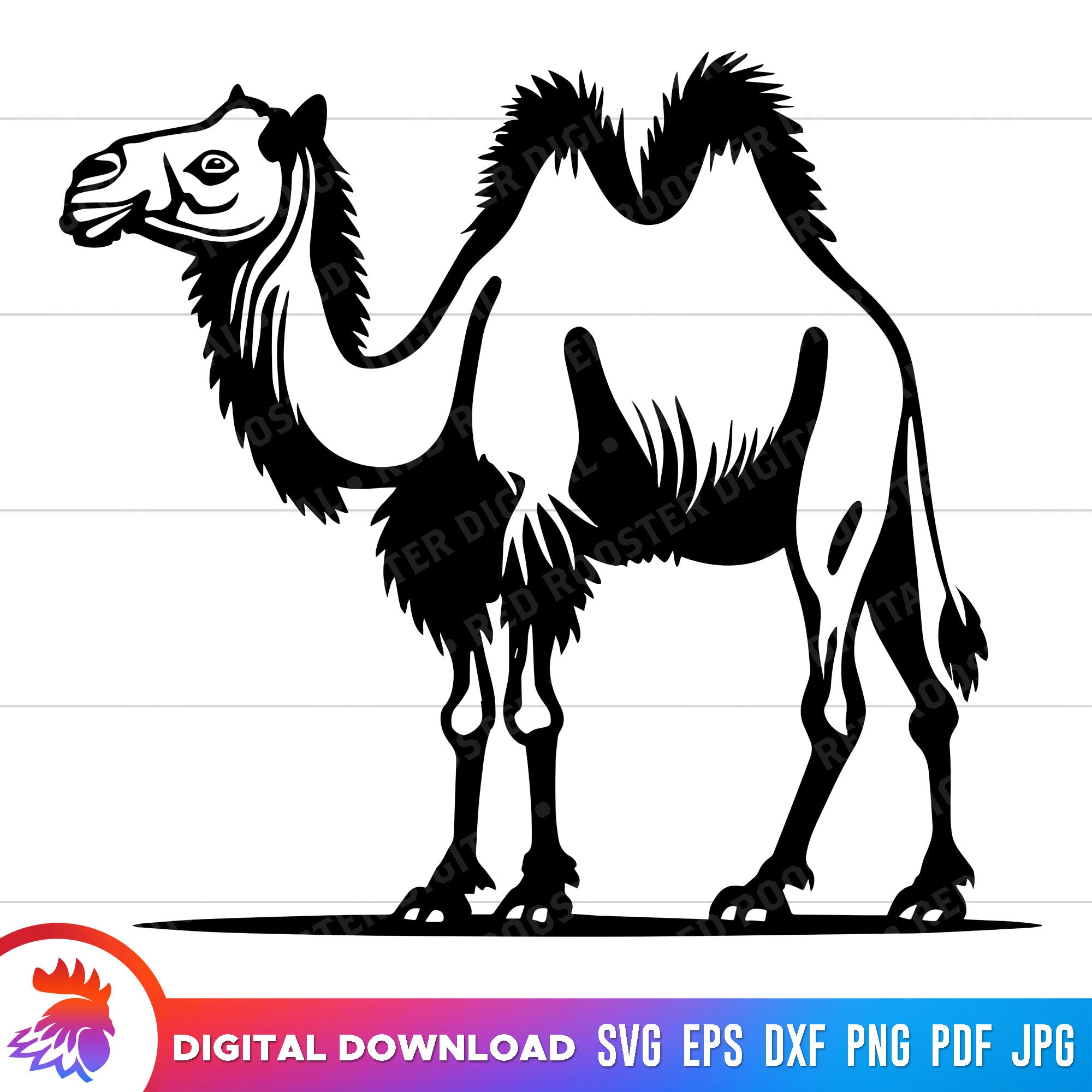 Camel Svg, Camel Silhouette, Camel Cut File, Camel With Two Humps ...