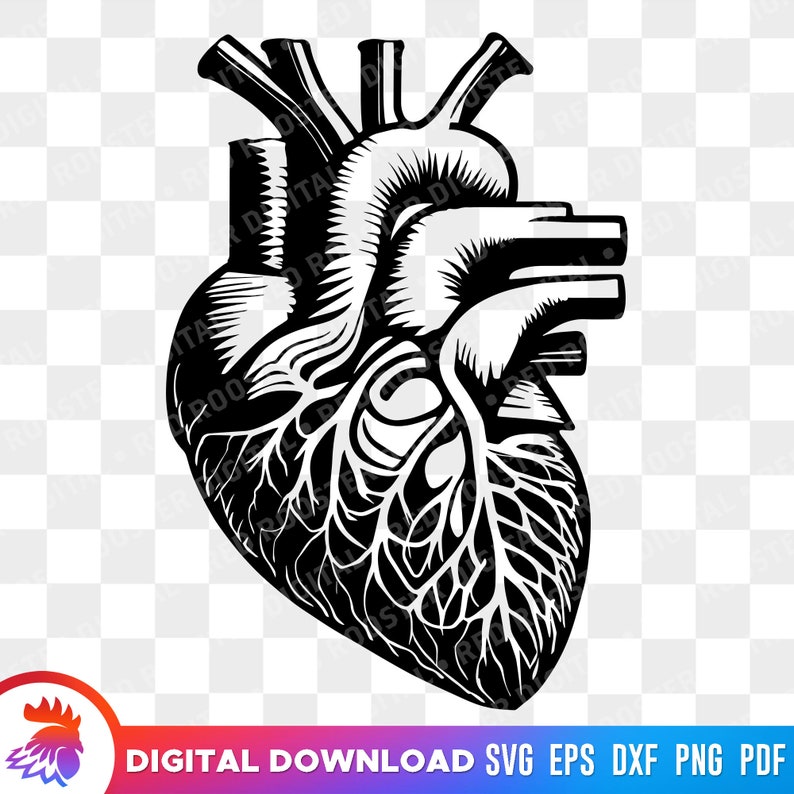 Heart Svg, Realistic Heart, Heart Clipart, Heart Artwork, Heart Print ...