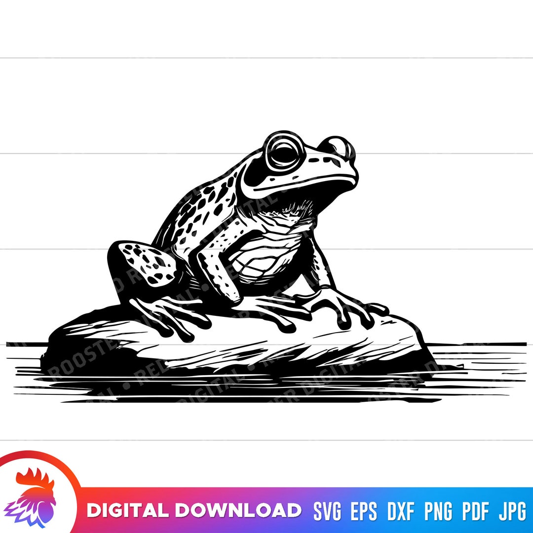 Frog on Rock Line Art SVG, Bullfrog Clipart (digital Download) - Etsy