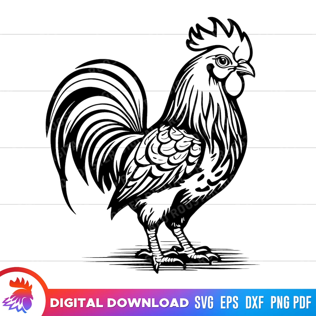 Rooster Svg, Rooster Cut File, Vintage Rooster Illustration, Rooster ...