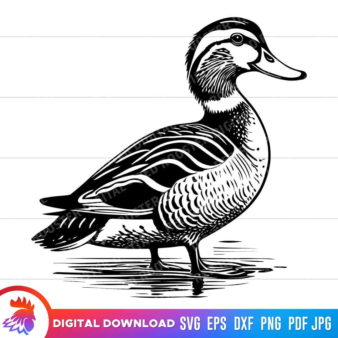 Mallard Duck SVG, Duck Clipart, Vector Cut File (digital Download) - Etsy