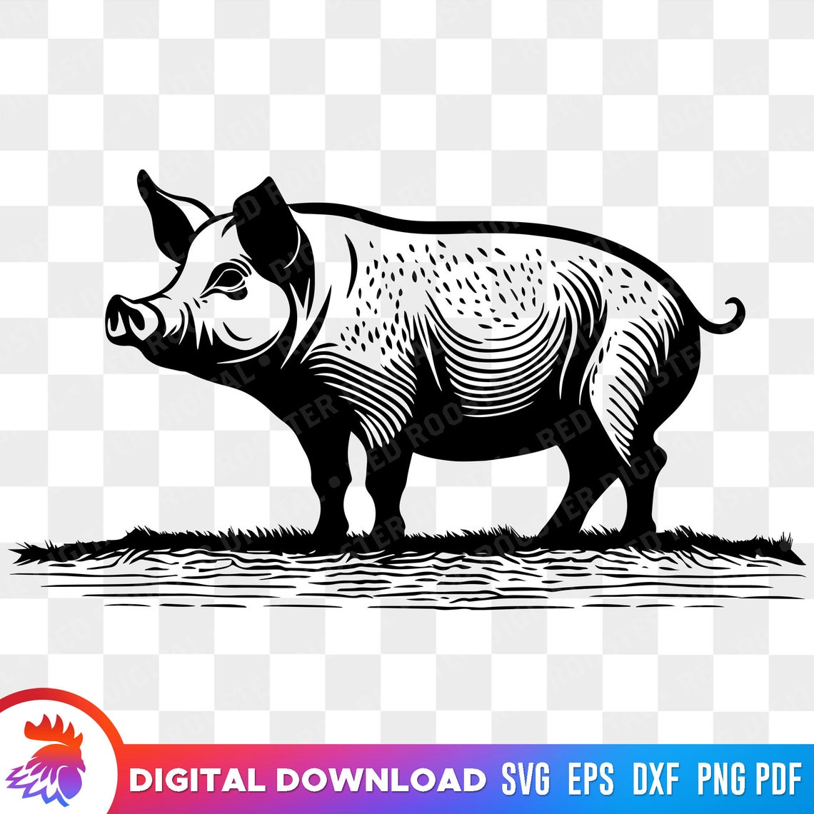 Pig Svg Show Pig Svg Pig Svg for Tumbler Pig Cut File Pig - Etsy