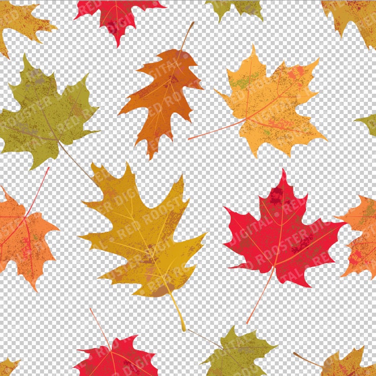 Colorful Autumn Leaves, Transparent Background, Tiled Leaves Background ...